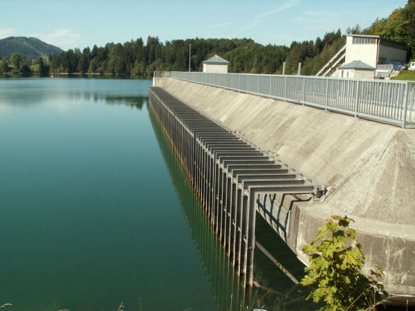 Forggensee